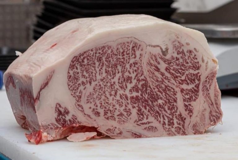 Japanese Wagyu Rib Eye 3kg Joint A5 BMS 10 12 Porterford Butchers